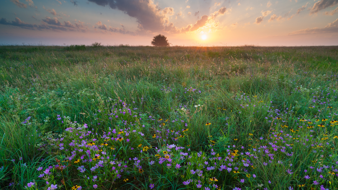 Living in the Rural South is a Simpler Way of Life - Greenleaf Properties