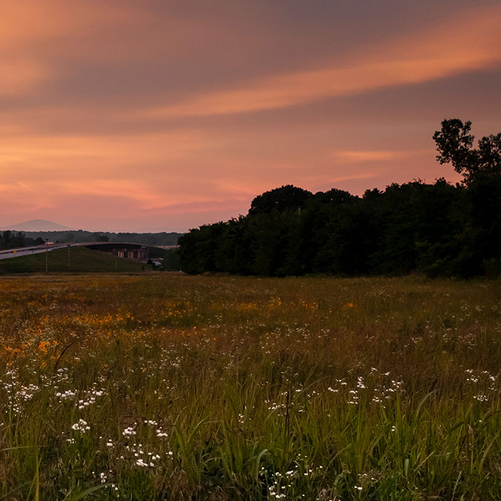 Discover the Hidden Gems of Eastern Oklahoma - Greenleaf Properties Discover the Hidden Gems of Eastern Oklahoma - Greenleaf Properties